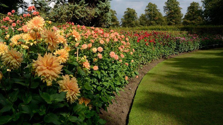 Video Tour of the Gardens at Anglesey Abbey – Boston Flora