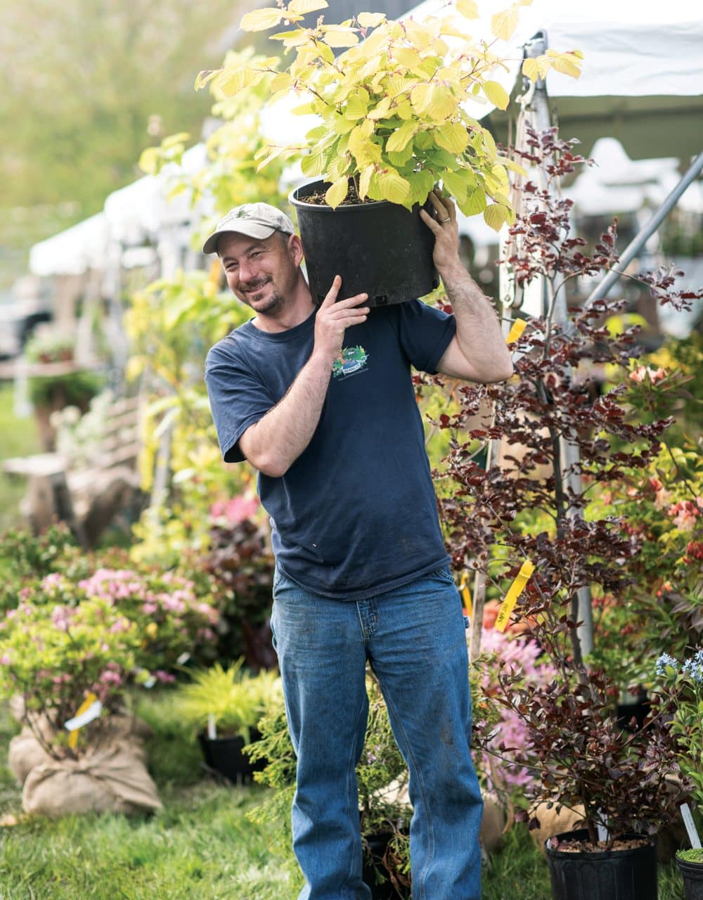 Thursday, June 20, 5:30 pm – Native Plants with a Twist: Unexpected ...