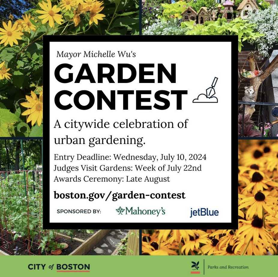 Wednesday, July 10 - Deadline for Mayor's Garden Contest - Boston Flora Wednesday, July 10 - Deadline for Mayor's Garden Contest - Boston Flora