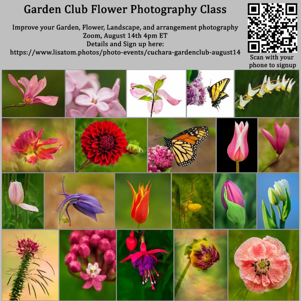 Thursday, August 14, 4:00 pm – 5:30 pm Eastern – Garden Club Flower ...