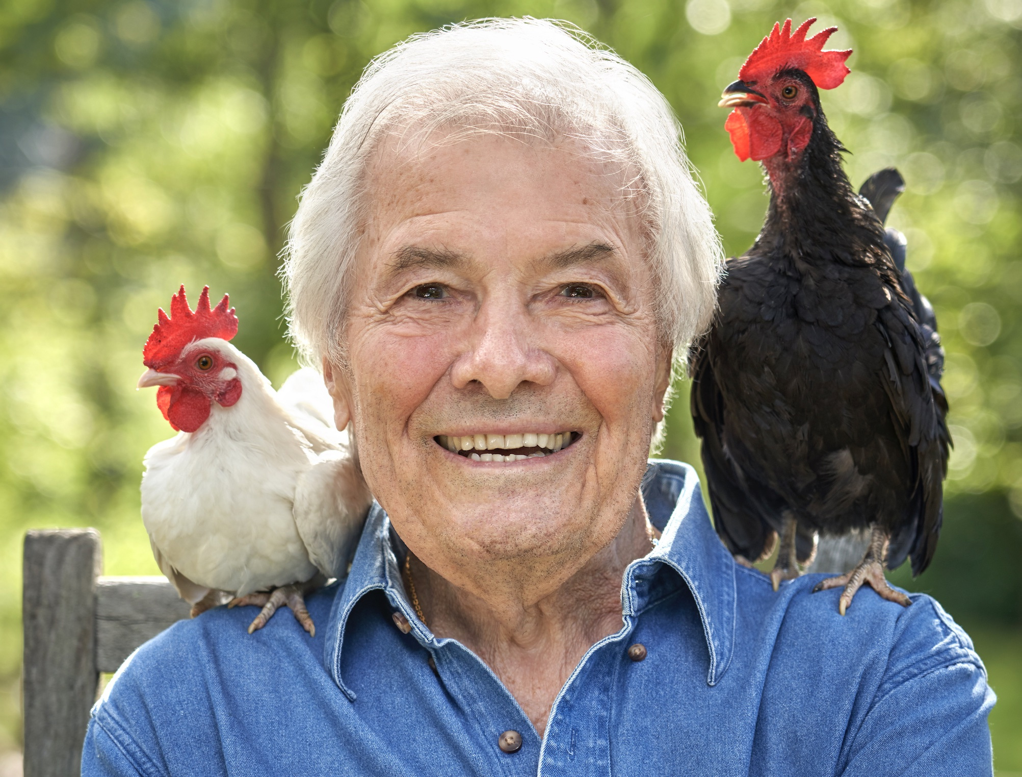 Friday, November 7, 1:30 pm – 3:00 pm Eastern – The Art of Jacques ...