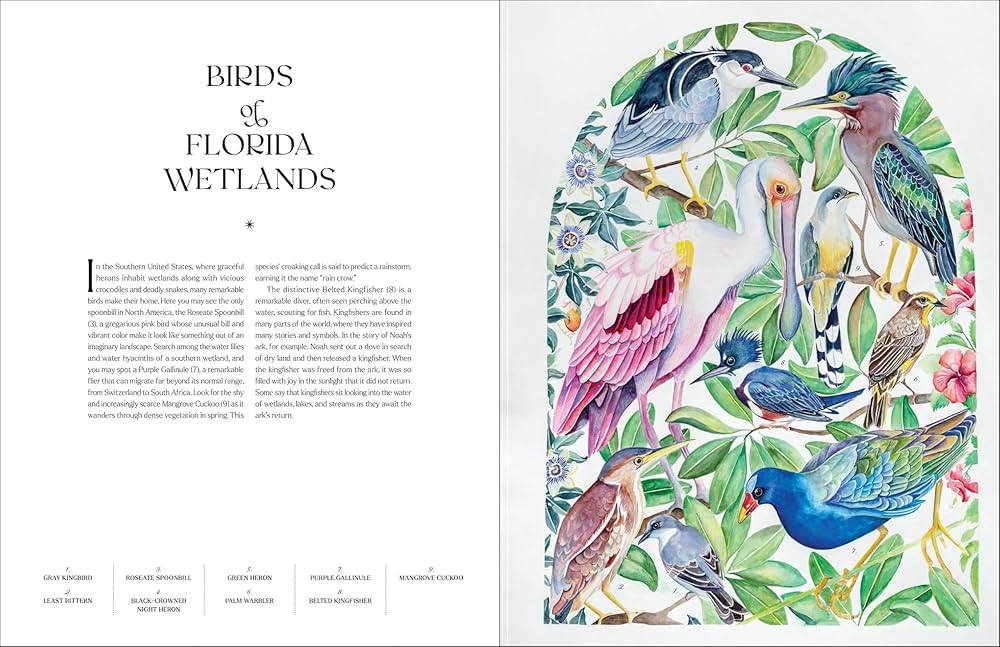 Friday, October 24, 5:00 pm – 7:00 pm – Opening Reception – Flock ...