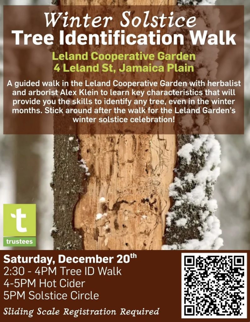 Saturday, December 20, 2:30 pm – 4:00 pm – Winter Solstice Tree ...
